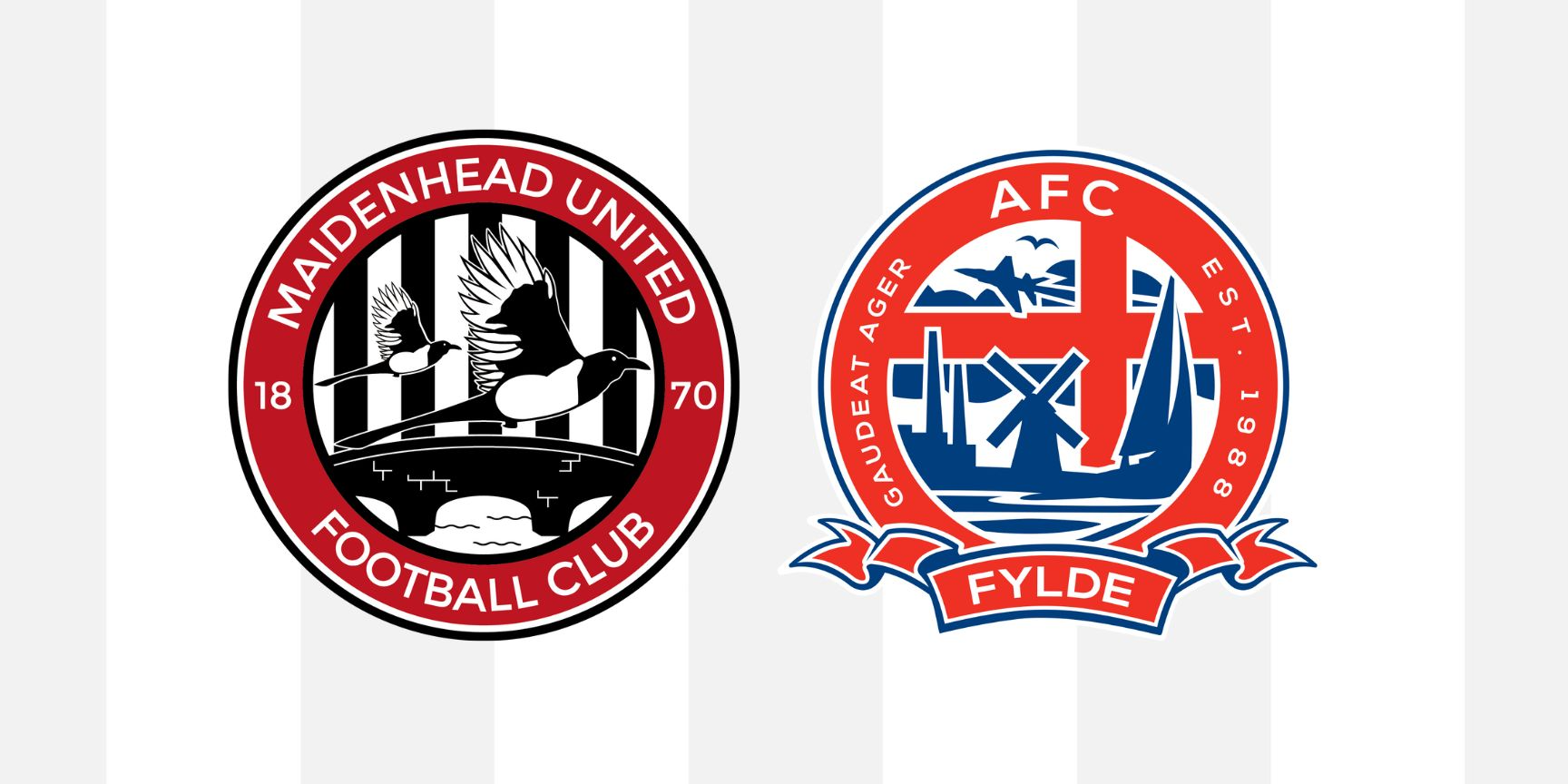 Maidenhead United FC - Event - Maidenhead United vs AFC Fylde